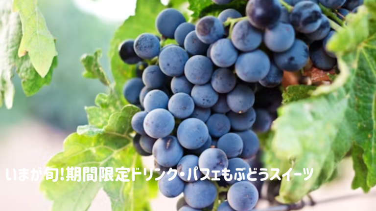 いまが旬!期間限定ドリンク・パフェも【ぶどうスイーツ】 | meeha